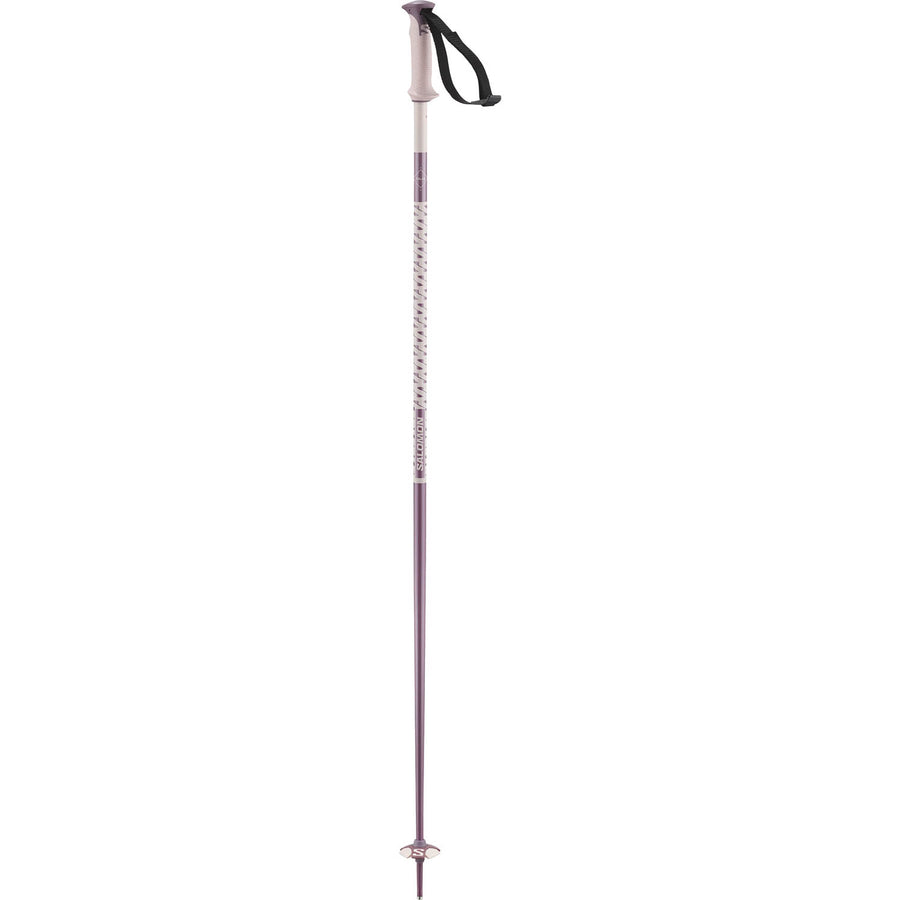 Salomon Polar Ski Poles – Snowtrax