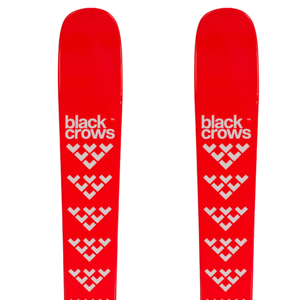 Black Crows Camox Skis 2024 – Snowtrax